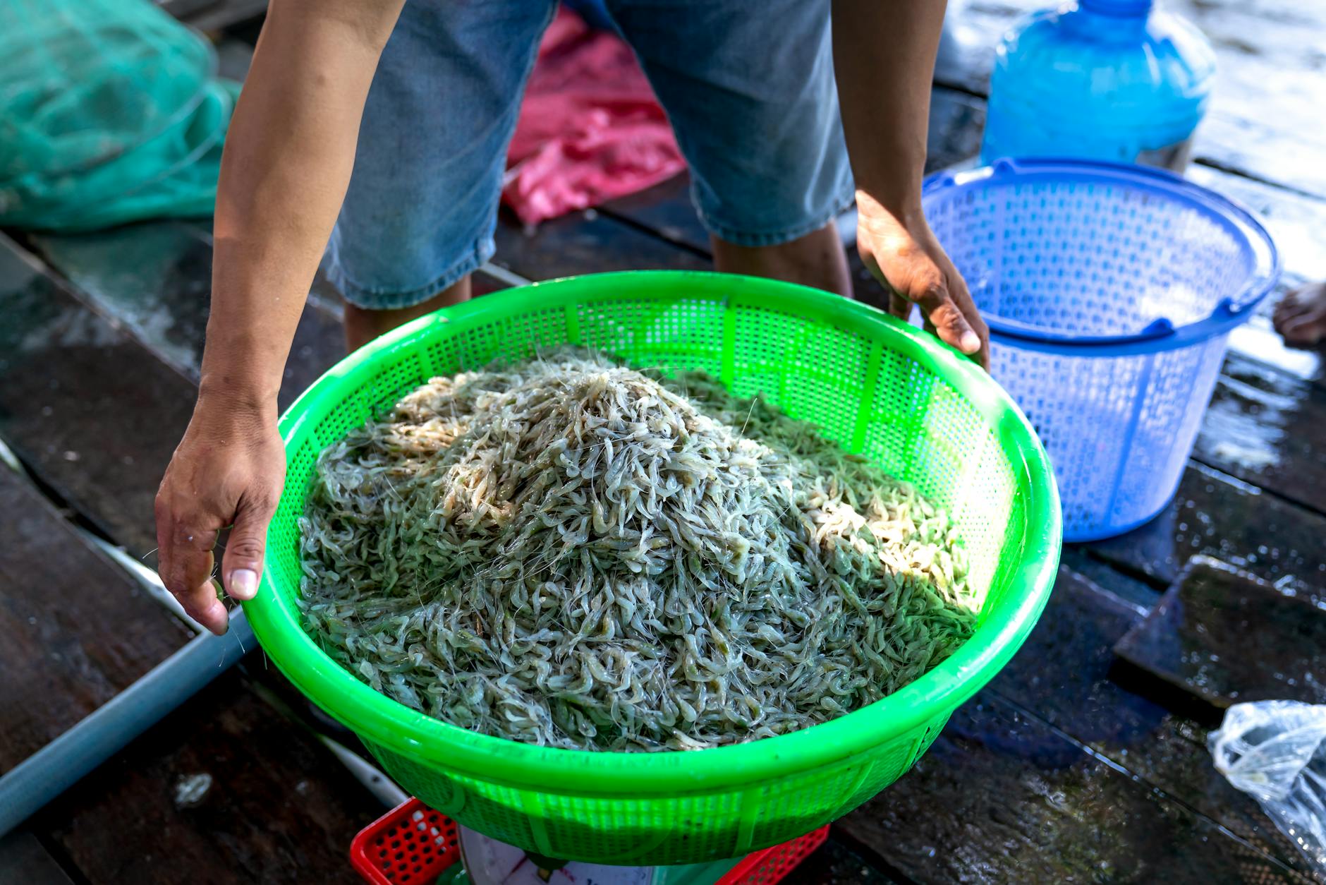 Tactici de pescuit la avat pentru râuri mari - TOP 15