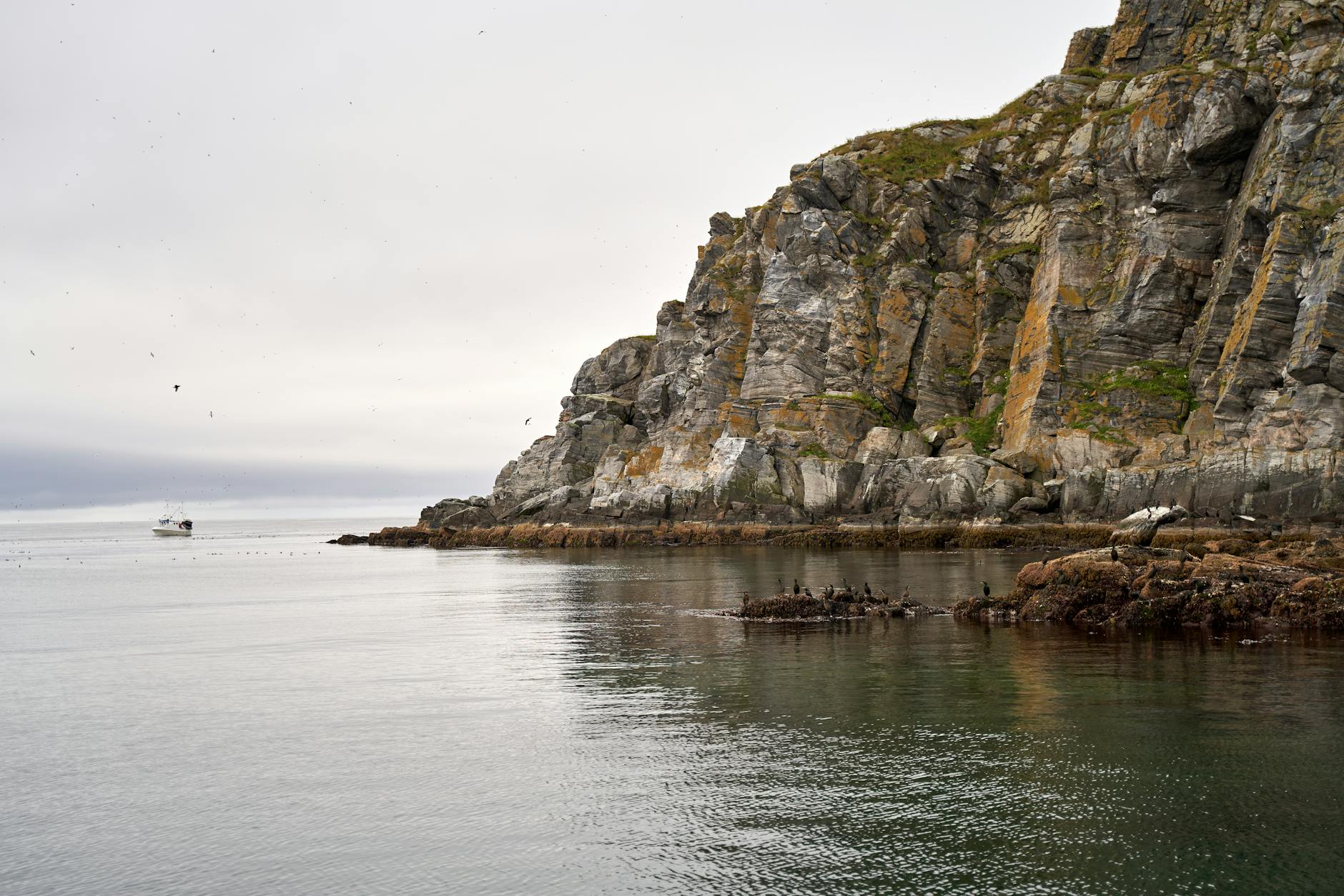 Montura pentru scobar la curent puternic: sfaturi și ajustări - TOP 15